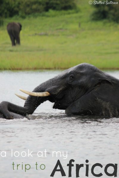 A Q & A Look at my Trip to South Africa