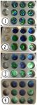 Earth Day Crayons - Free Printable