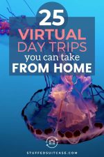 25 Virtual Travel Day Trips to Take from Home