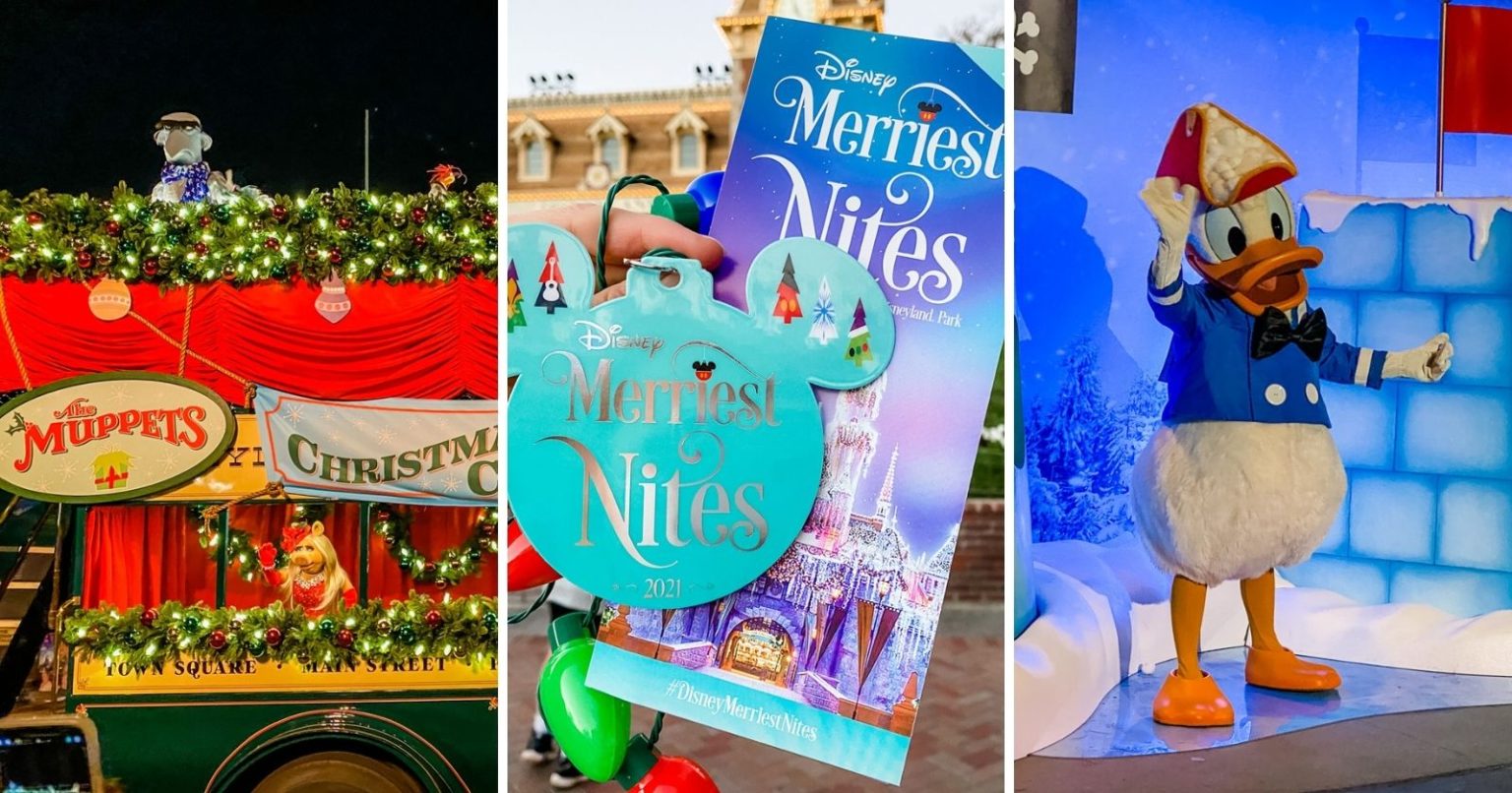 Take a Virtual Trip to Disney at Home (Ride Cams, Parades, and Recipes!)