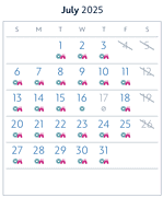 NEW 2025 Disneyland Magic Key Annual Pass (Blackout Date Calendar ...